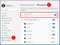 How to set the default microphone in Windows 11