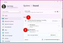 How to set the default microphone in Windows 11