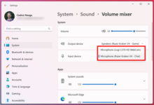 How to set the default microphone in Windows 11