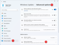 Delivery Optimization: How to get Windows updates faster