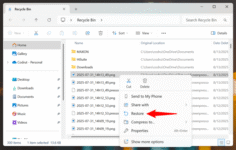 OneDrive's Recycle Bin: How to empty or recover deleted files