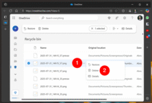 OneDrive's Recycle Bin: How to empty or recover deleted files