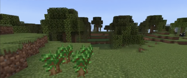 How to Find Dark Oak in Minecraft: Complete Guide