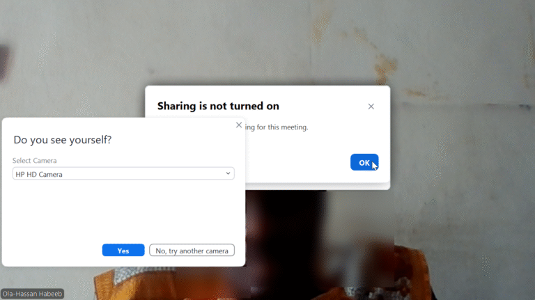How to Test Zoom Before a Meeting