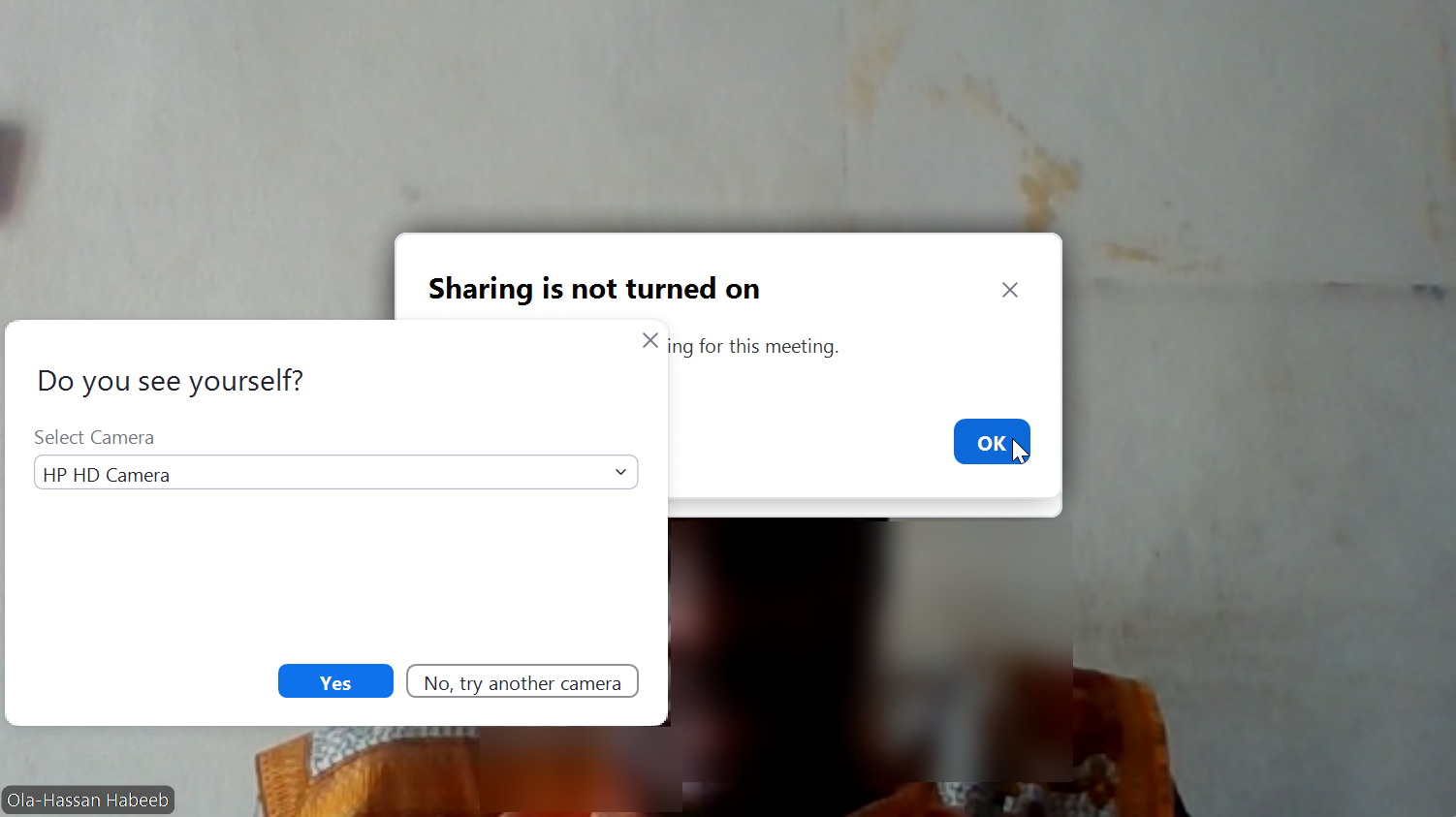 How to Test Zoom Before a Meeting
