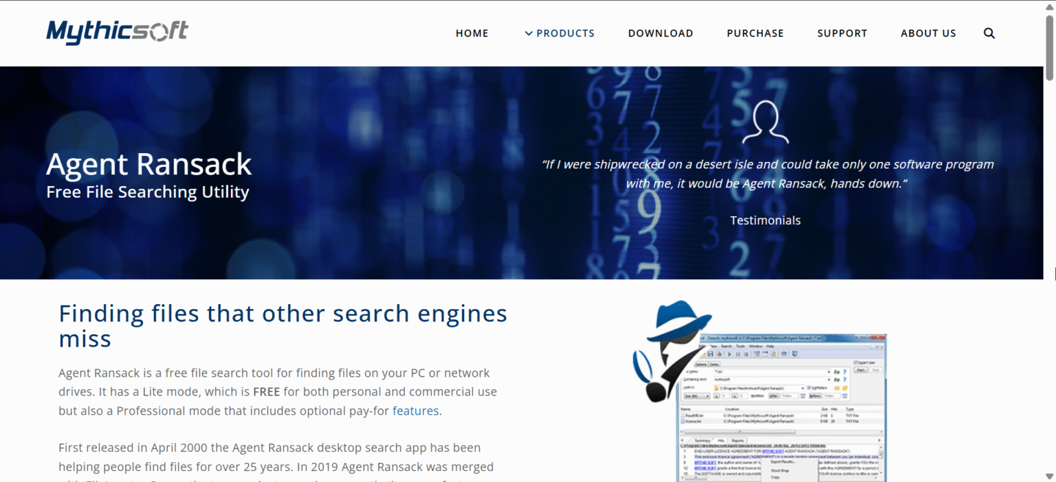 Best File Search Tools for Windows