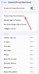 App Store Missing on iPhone or iPad: How to Get it Back