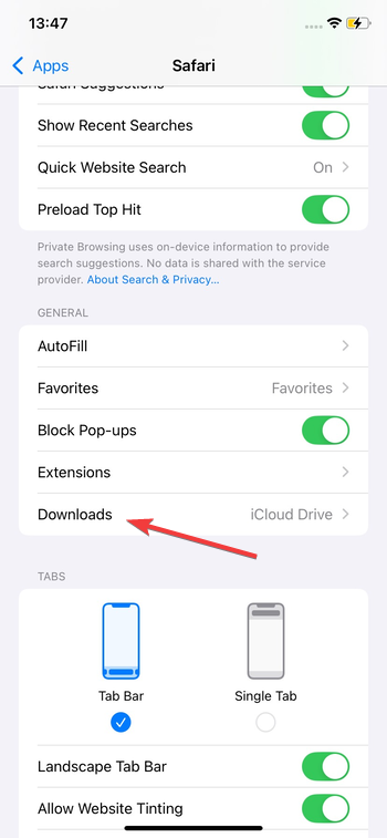 Where Are my Downloads on iPhone?