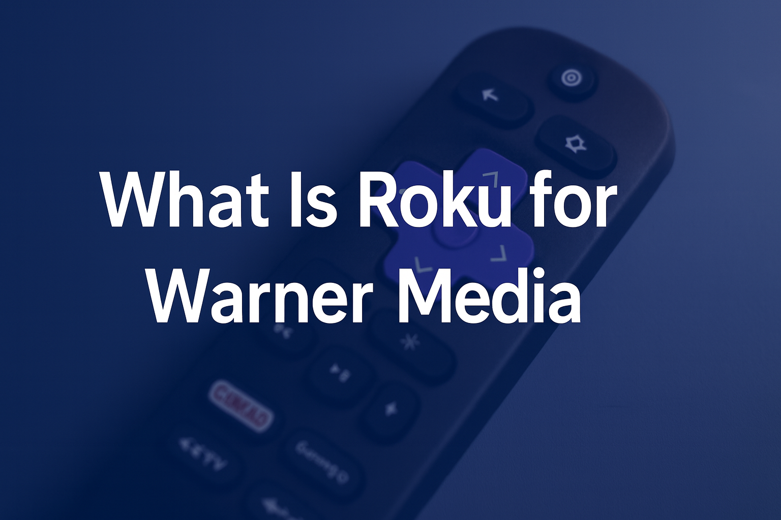 What is Roku for Warner Media?