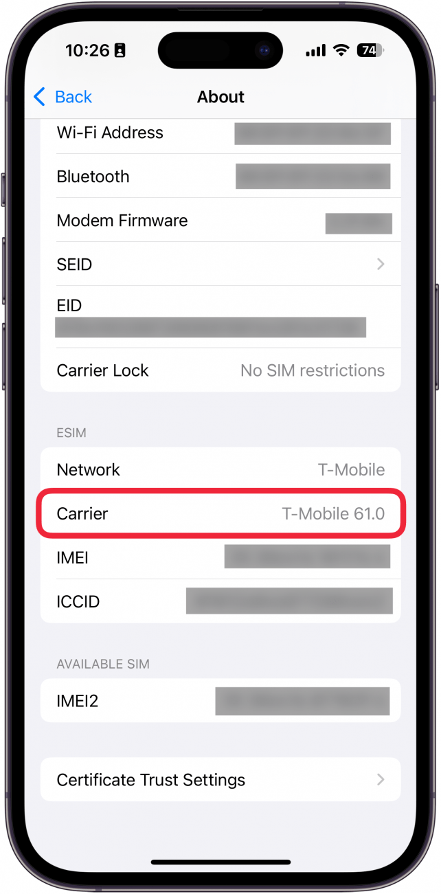 How To Check and Update Carrier Settings On iPhone