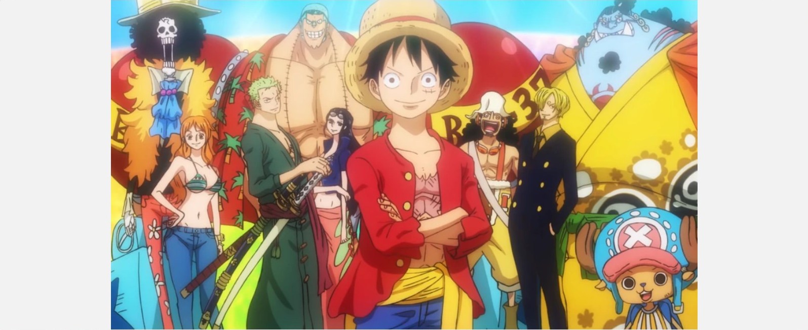 One Piece: Straw Hat Pirates Crew Members
