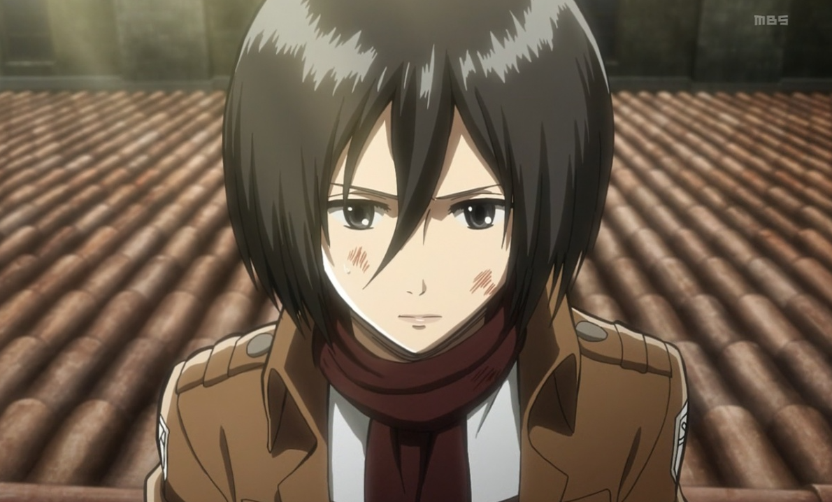 Attack on Titan Characters and Their Titan Powers