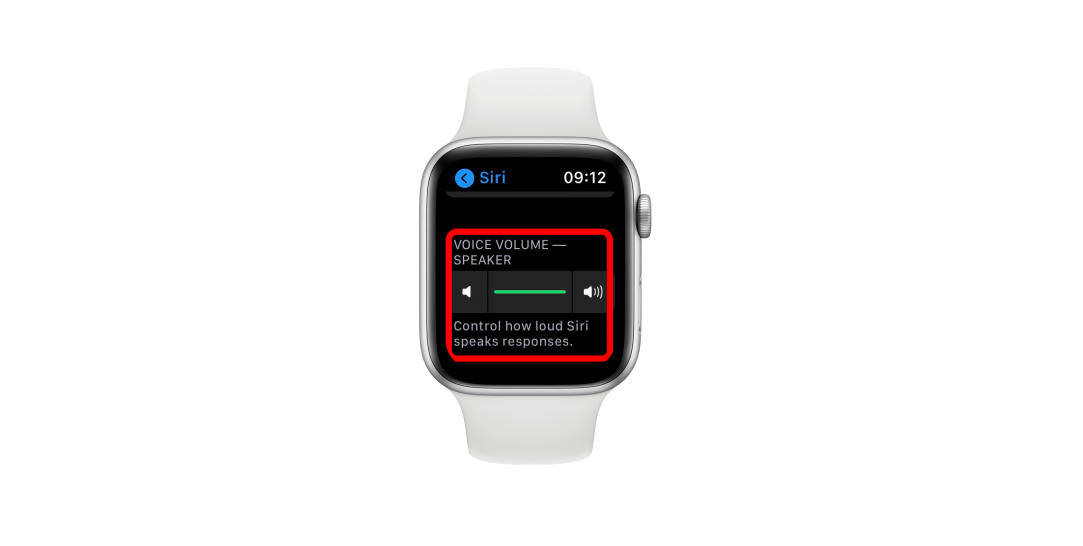 How to Use Siri on Apple Watch (Complete Guide)