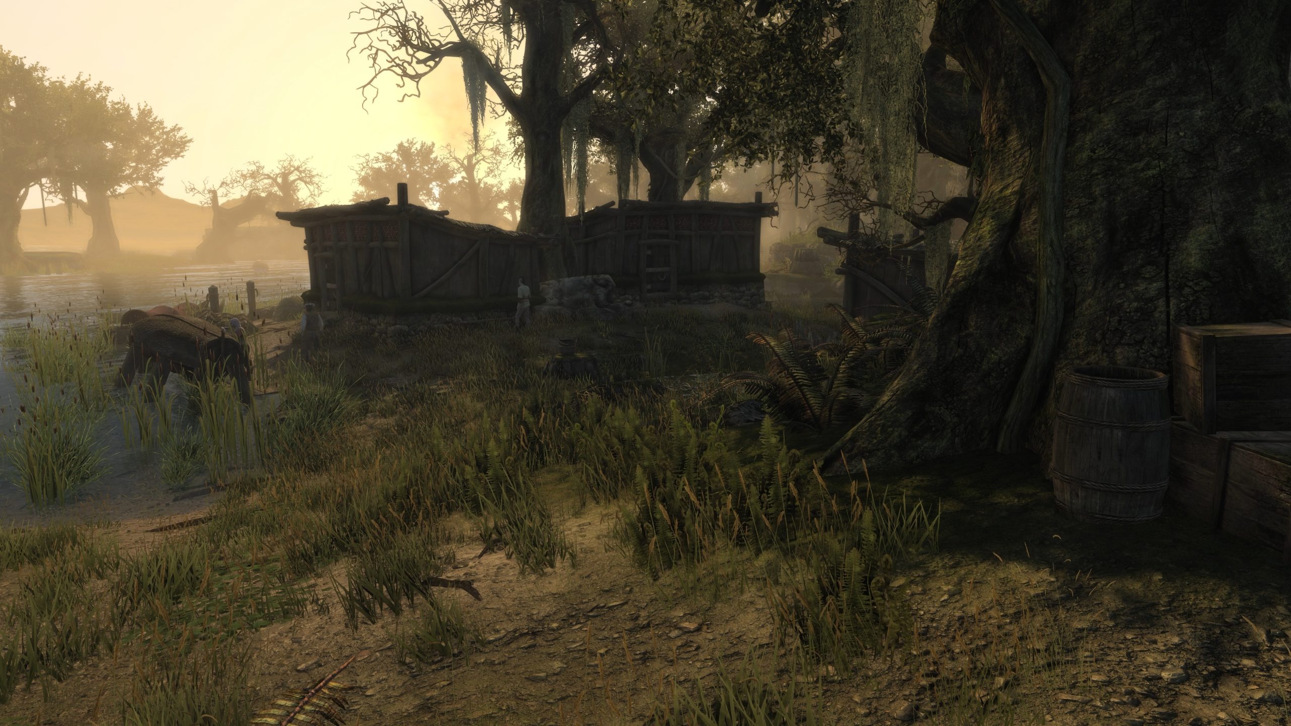 Skywind reaches major milestone, but the team still is not ready to ...